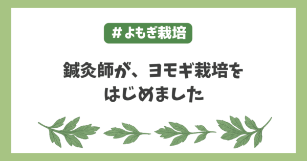 鍼灸師がヨモギ栽培をはじめました - yomogi-base